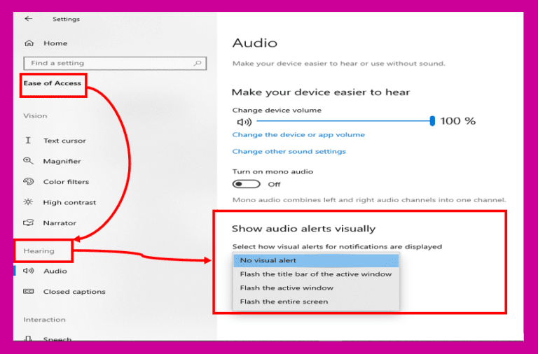 Comprehensive Notes Working With Accessibility Options Class 10 ...