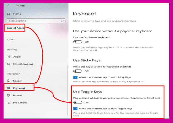 Comprehensive Notes Working With Accessibility Options Class 10 ...