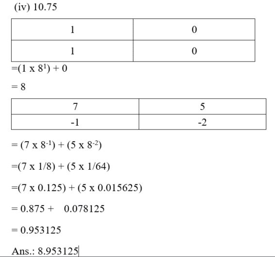 Chapter 2 Encoding Scheme And Number System Class 11 NCERT Easy Solutions