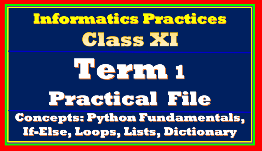 Class 11 Term 1 IP Practical File - Important PDF