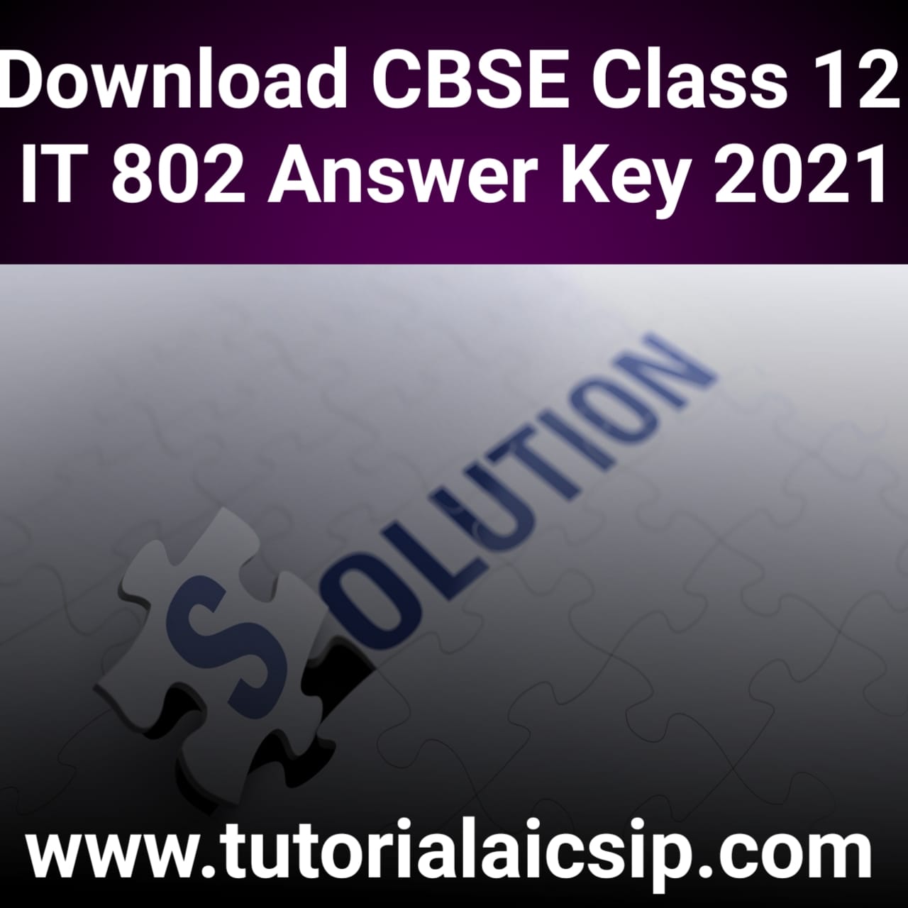 Download CBSE Class 12 IT 802 Answer Key 2021 | TutorialAICSIP